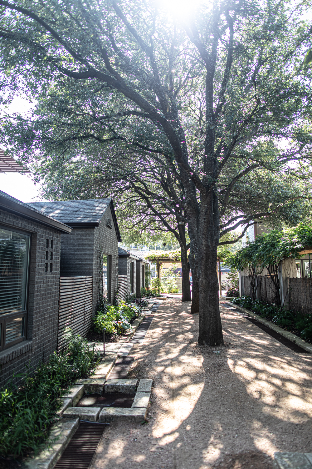 Guide to Austin - Mississippi Vegan