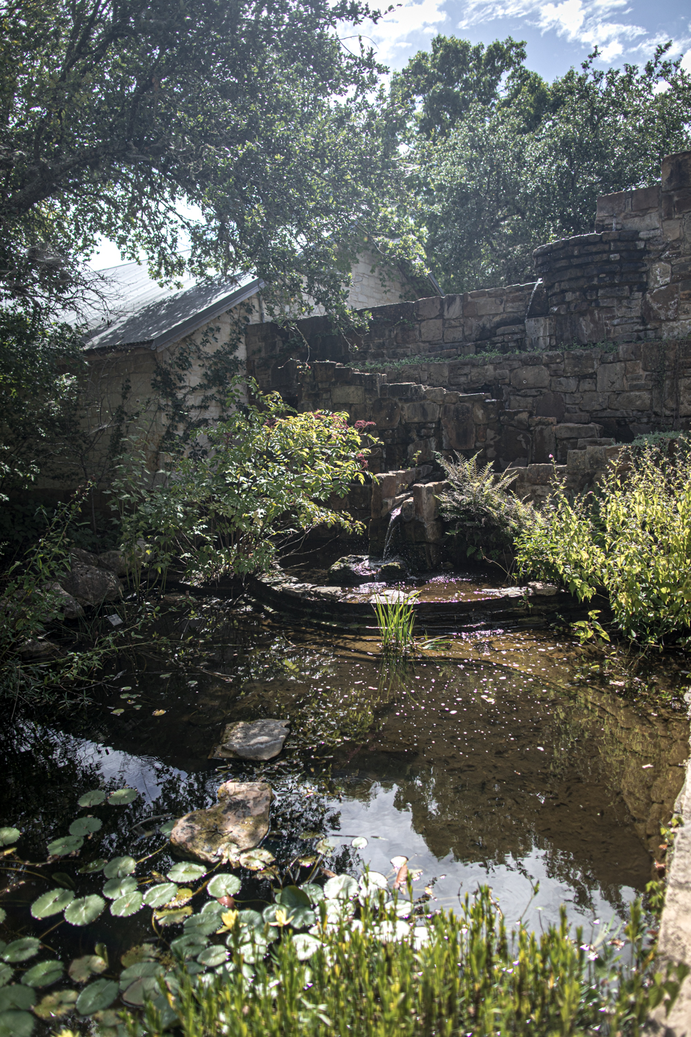 Guide to Austin - Mississippi Vegan