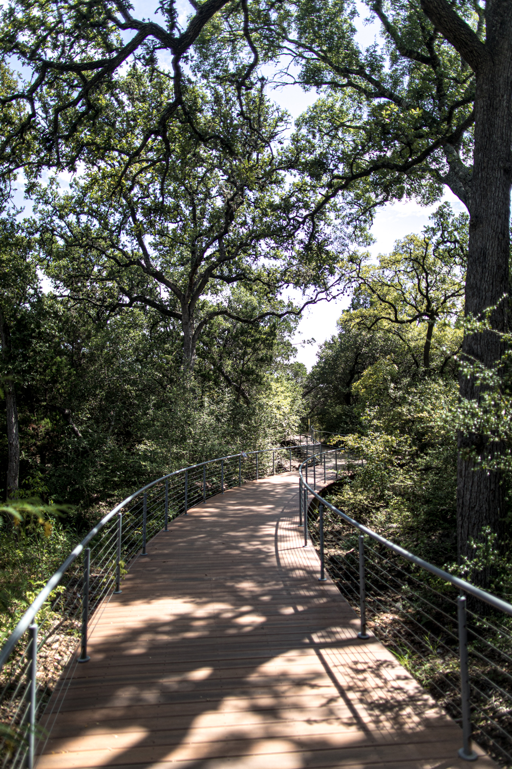 Guide to Austin - Mississippi Vegan