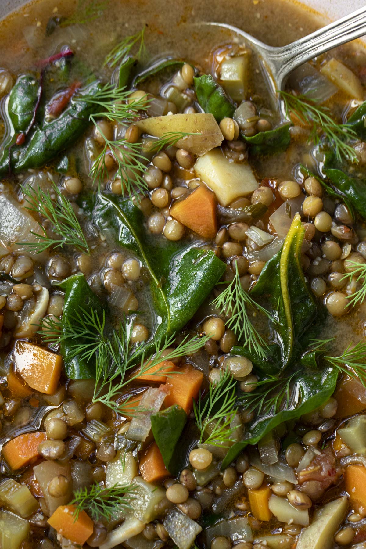 Vegetable Lentil Soup - Mississippi Vegan