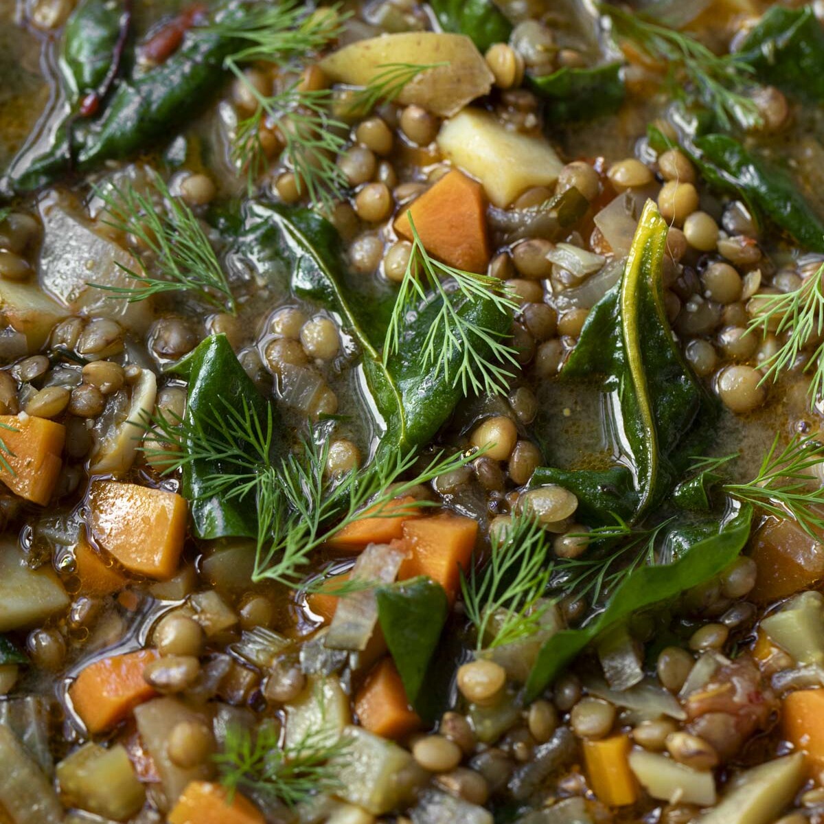 Vegetable Lentil Soup - Mississippi Vegan