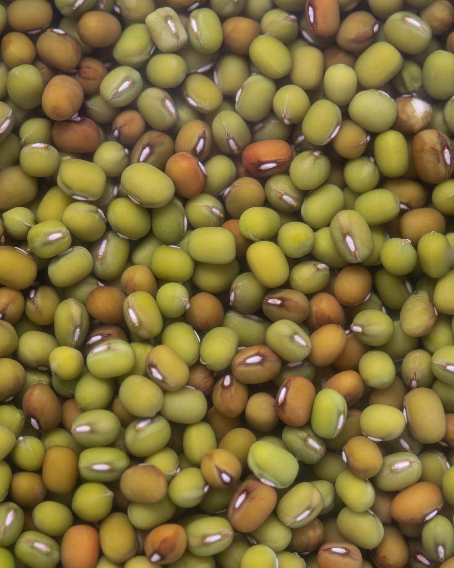 Mung Bean Soup - Mississippi Vegan