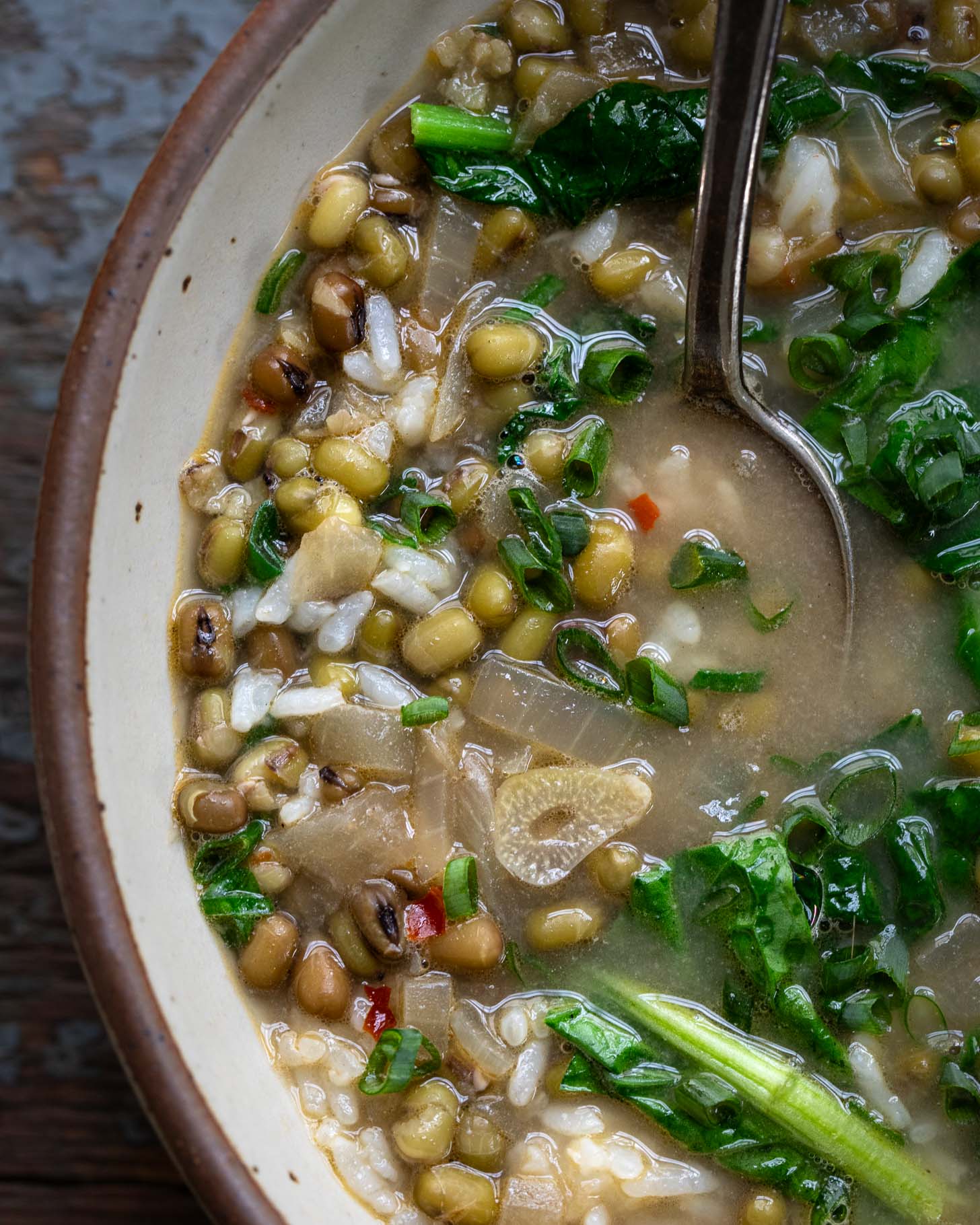 Mung Bean Soup - Mississippi Vegan